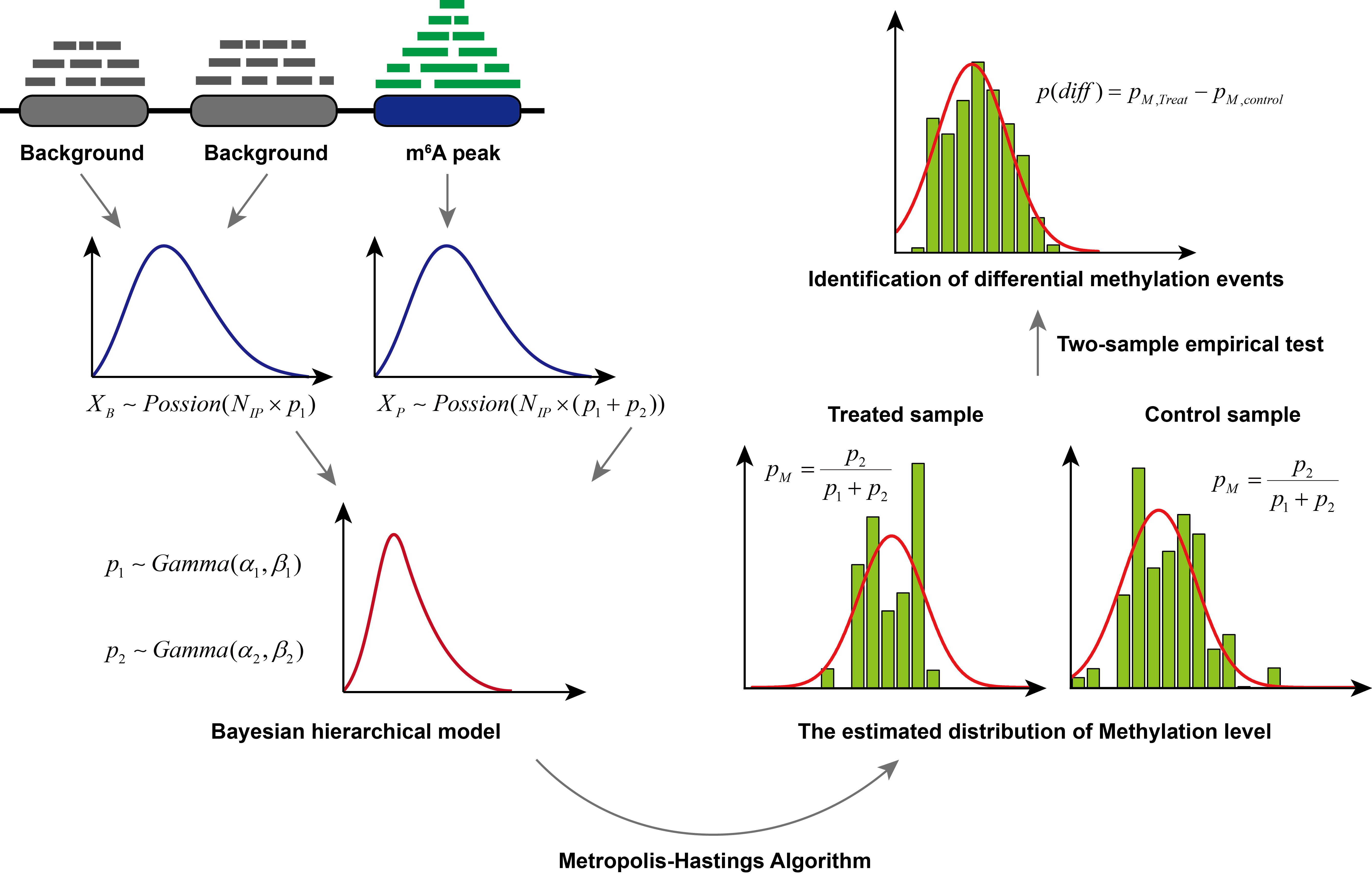 MATK: a MeRIP-seq analysis toolkit at single-nucleotide resolution